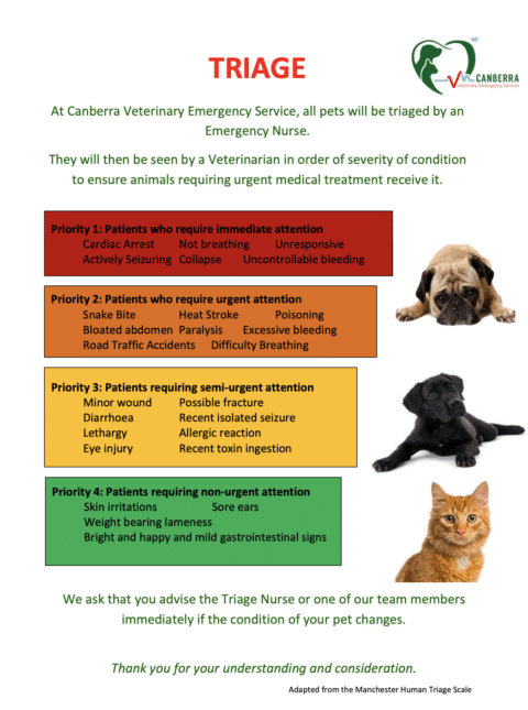 Canberra Emergency Vet - Canberra Veterinary Emergency Services